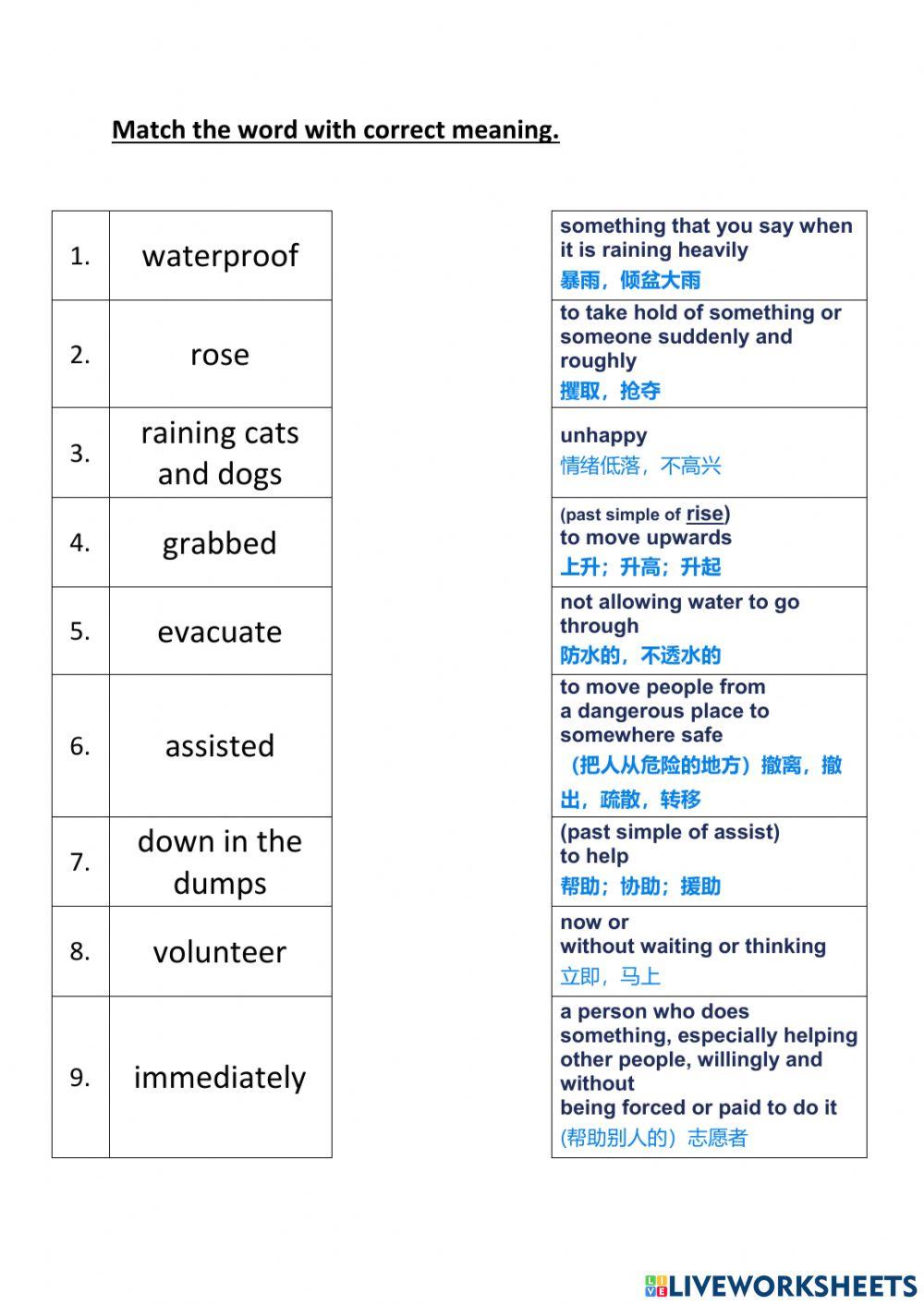 English practice worksheet | Live Worksheets