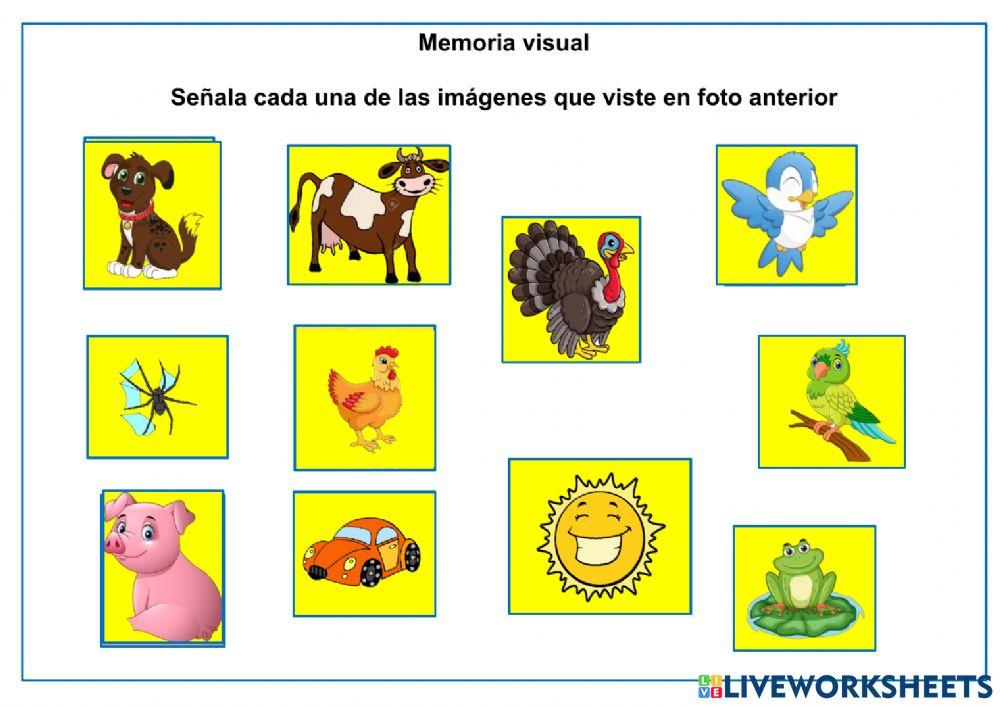 Memoria visual online exercise for | Live Worksheets