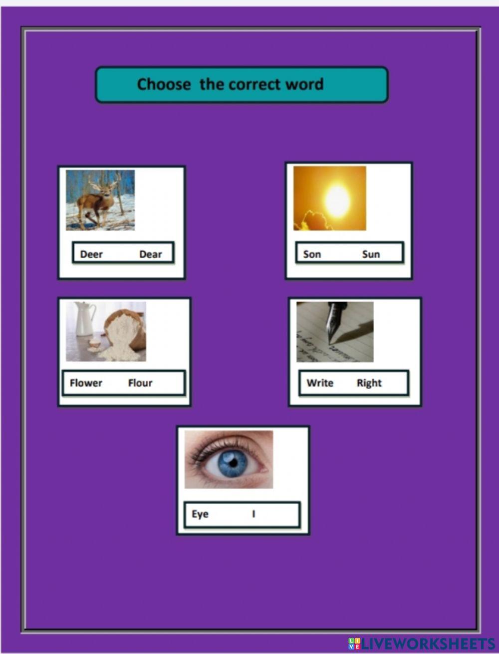 Homophones interactive exercise for 4 | Live Worksheets