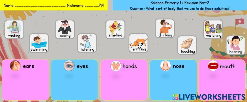 1259780 | Science Primary 1 : Revision Part2 | James
