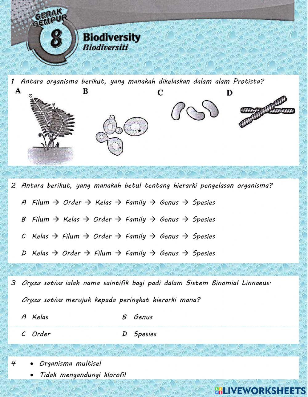 8 Biodiversiti worksheet | Live Worksheets