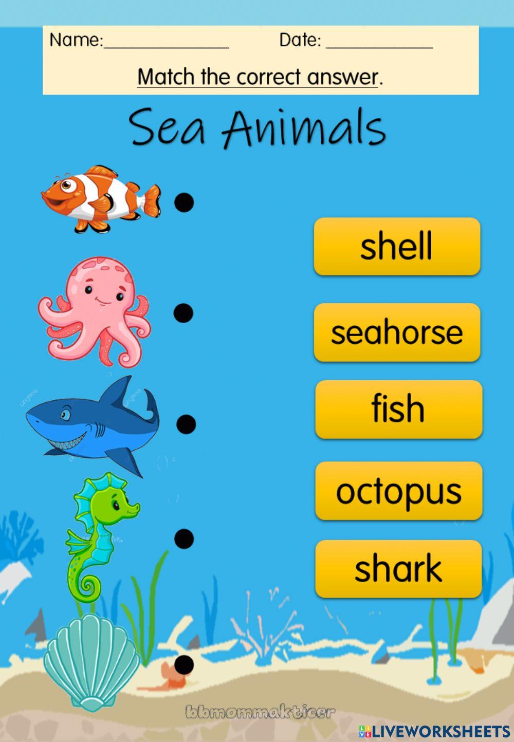 Match sea animal 1260759 | faiznur_89 | Live Worksheets