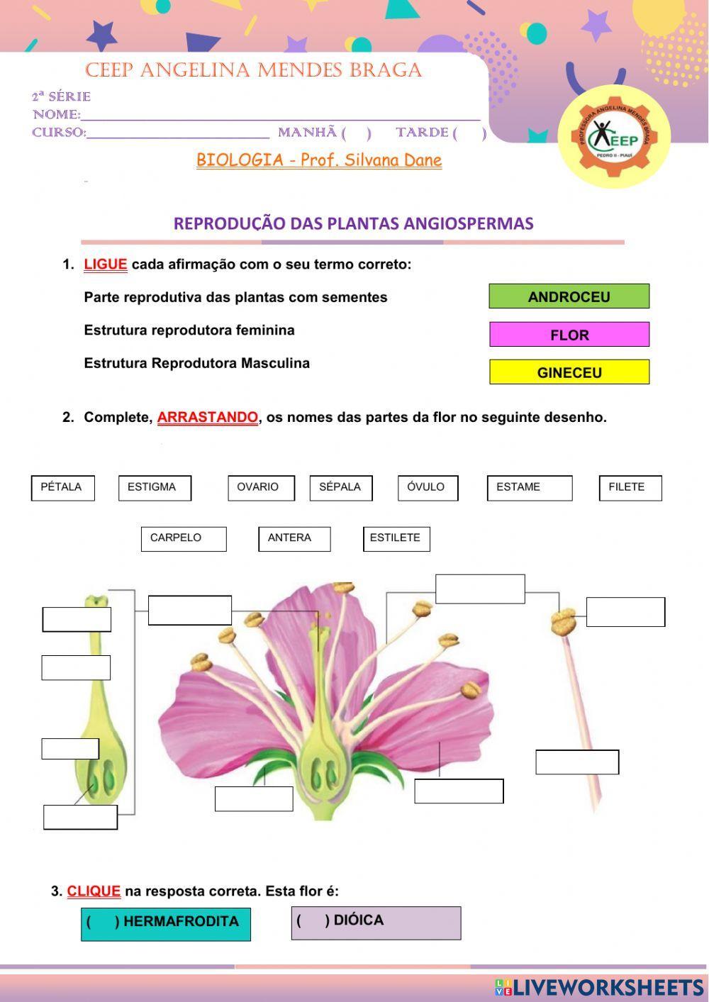 Partes da flor activity | Live Worksheets