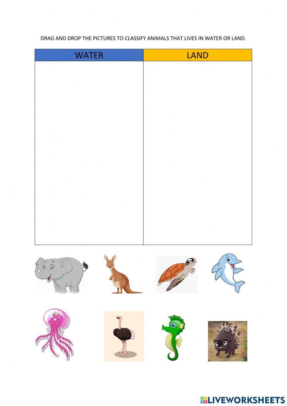 Science (pre-school) online activity | Live Worksheets