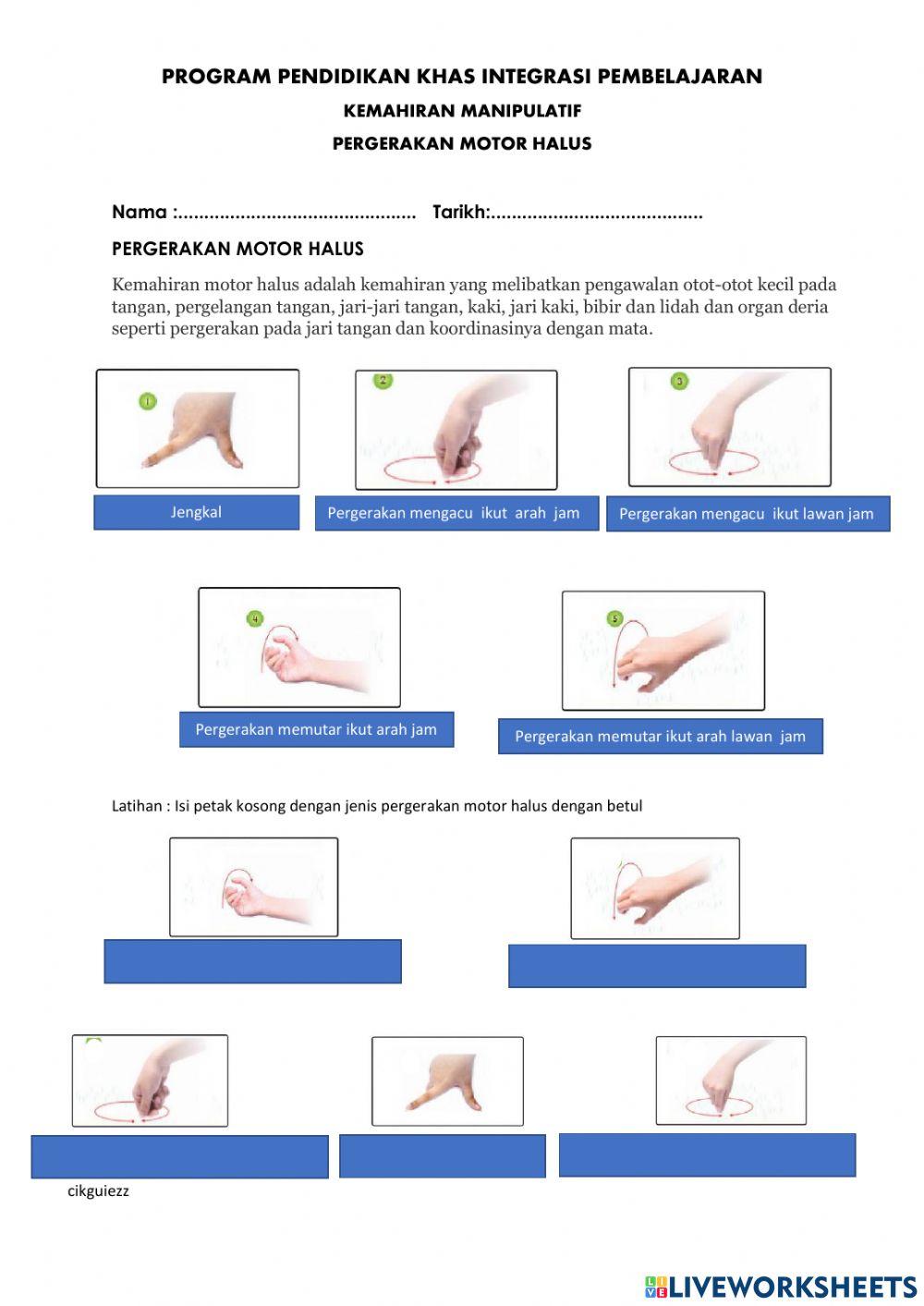 Jenis Pergerakan Motor Halus 1263268 | iezaidy bin omar
