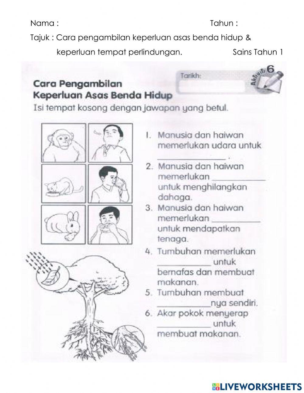 Sains tahun 1 1263390 | AINNASIR | Live Worksheets