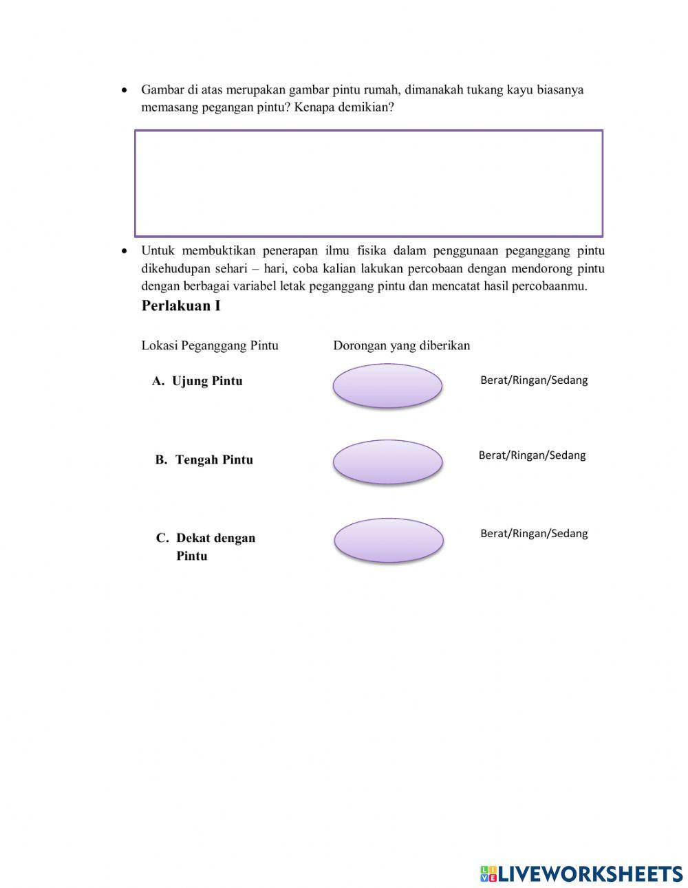 Liveworksheet interactive activity for XI | Live Worksheets
