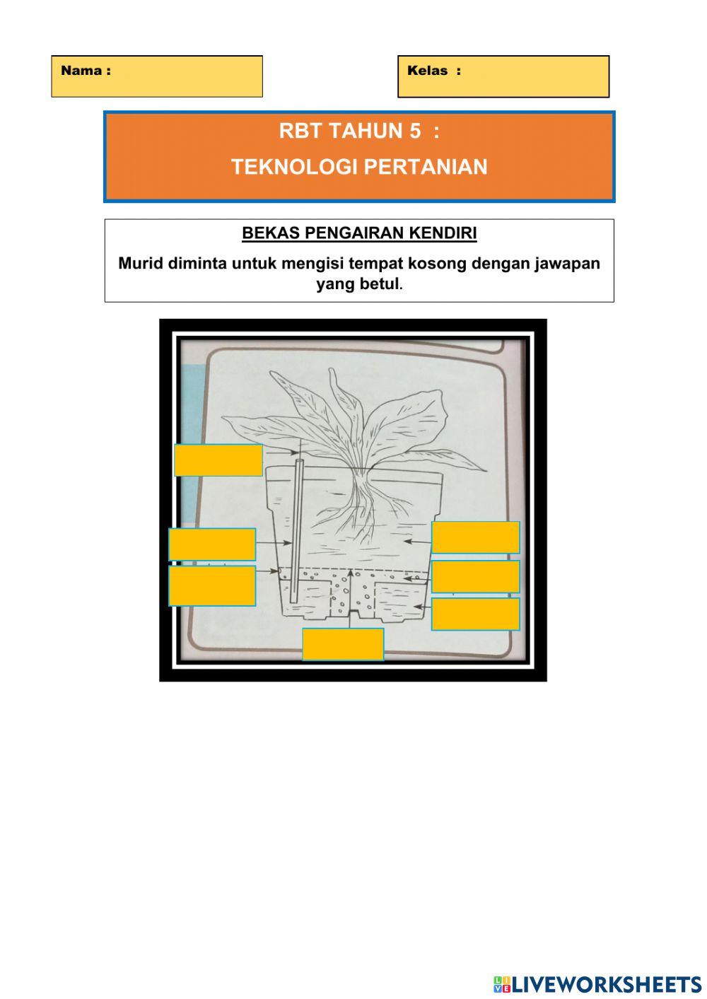 Rbt tahun 5 : t… | Free Interactive Worksheets | 1266523