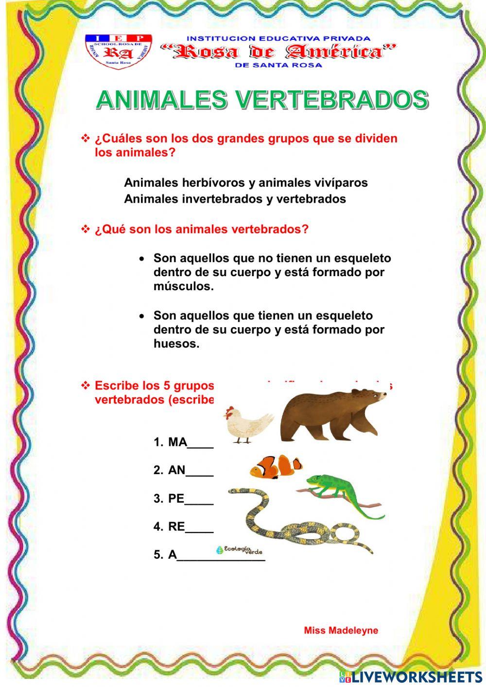 Animales vertebrados online exercise for Primaria | Live Worksheets