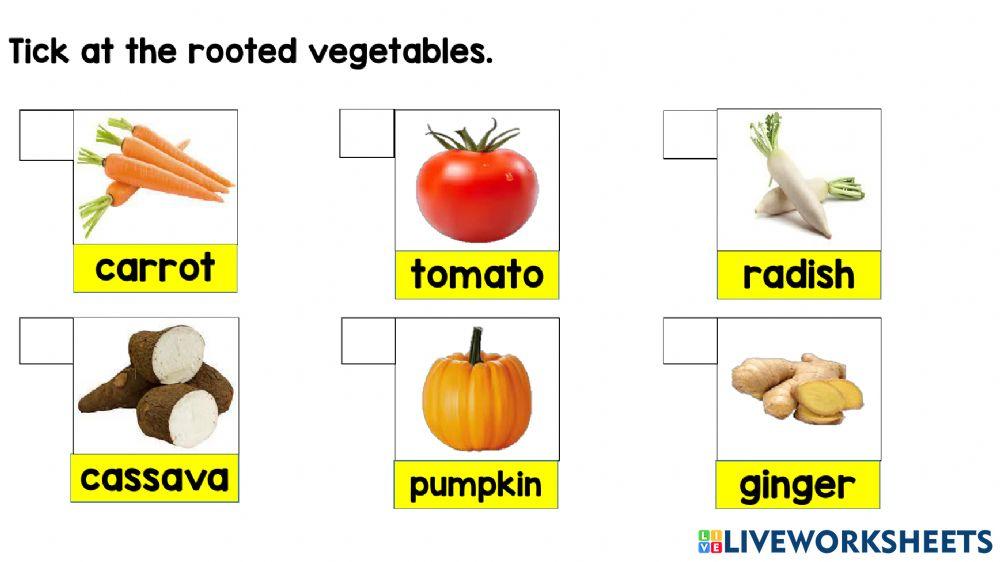 1267859 | Rooted vegetables | TcMunirah | LiveWorksheets