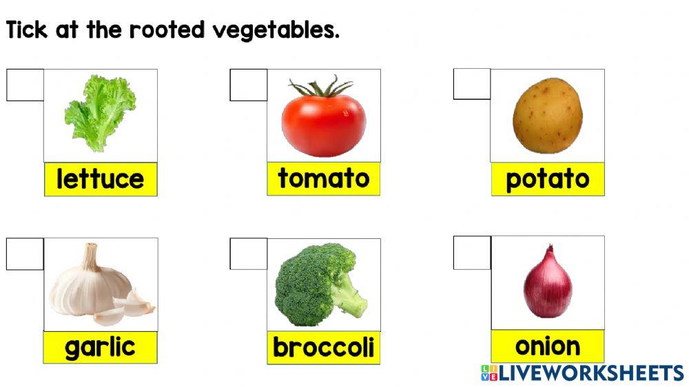 1267859 | Rooted vegetables | TcMunirah | LiveWorksheets