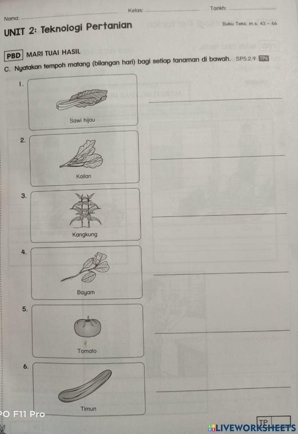 Rbt - tuai hasil worksheet | Live Worksheets