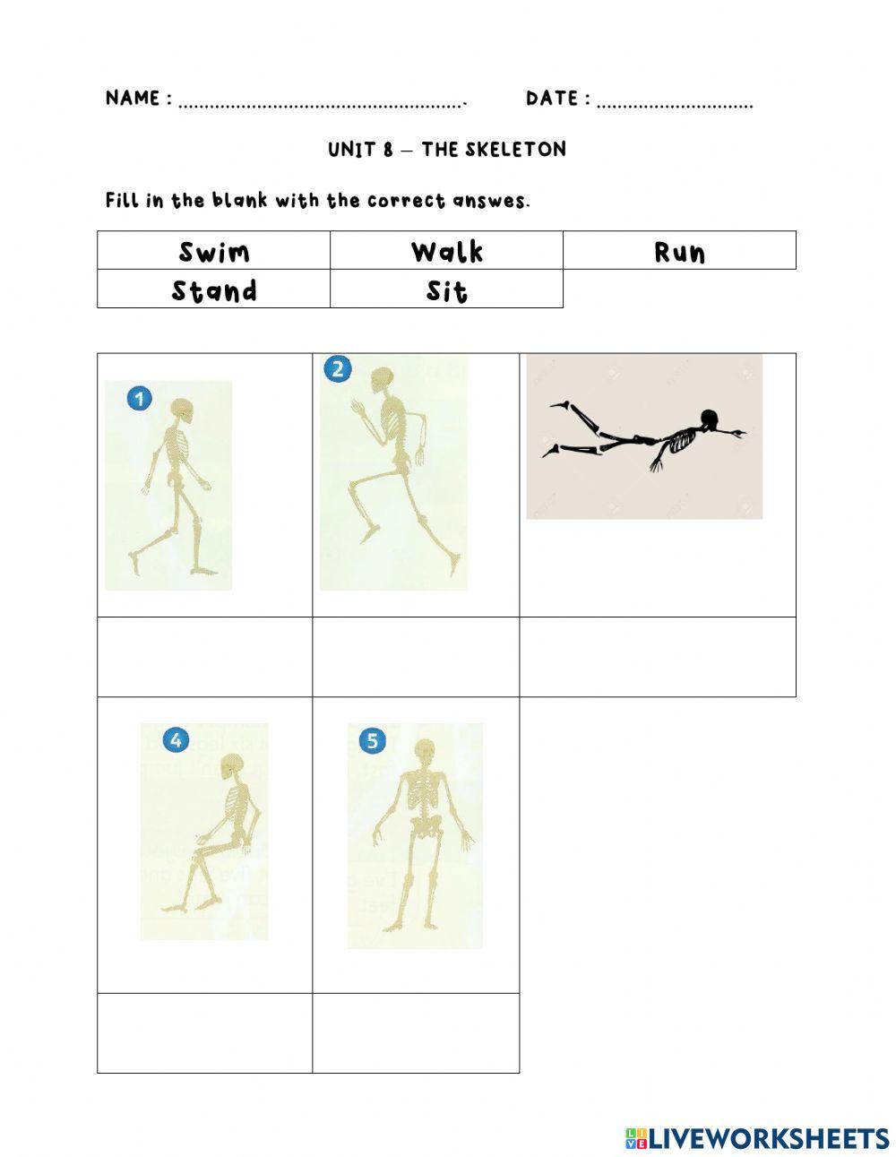 The skeleton interactive activity for 2 | Live Worksheets