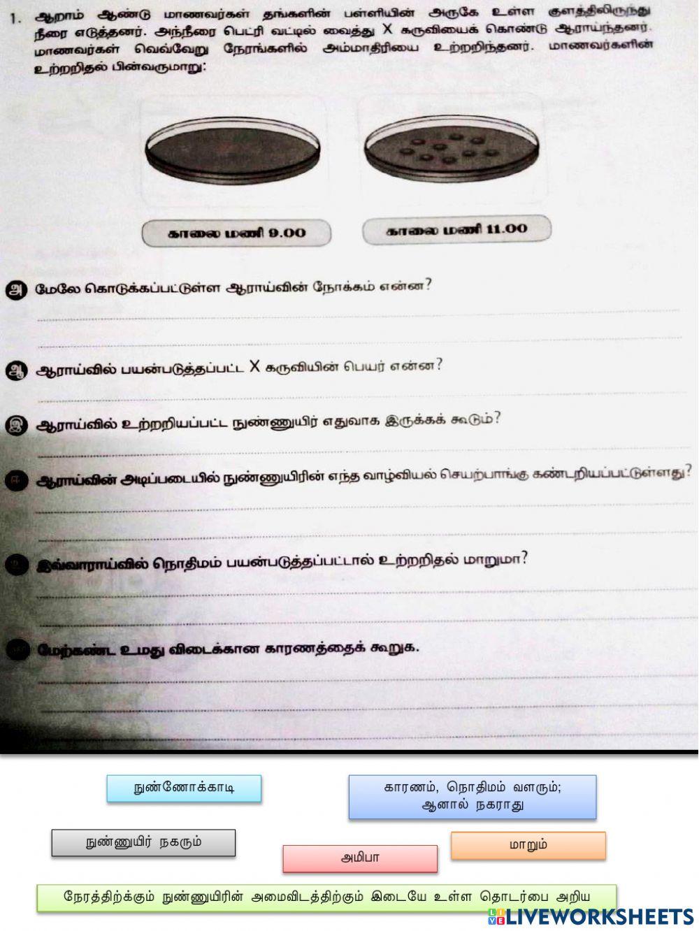 நுண்ணுயிர் interactive worksheet | Live Worksheets