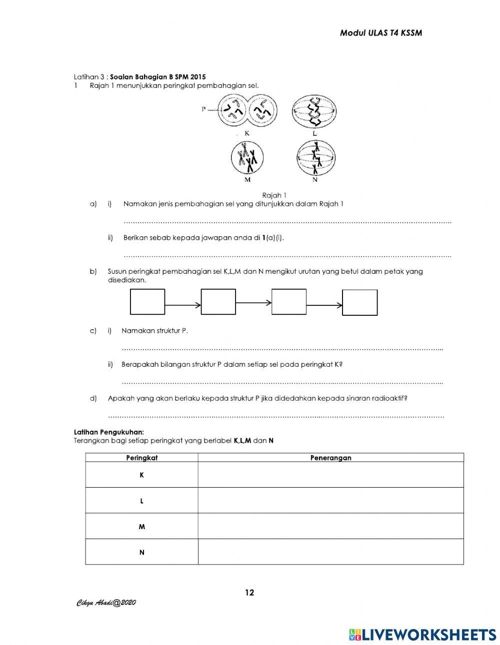 Mitosis meiosis | Free Interactive Worksheets | 1269211