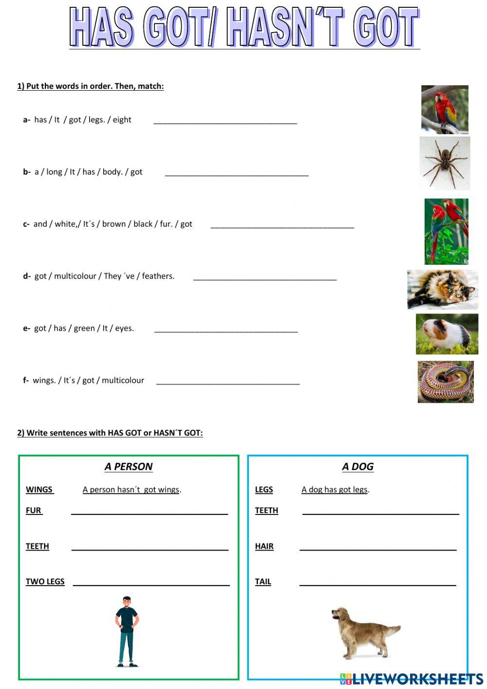 Pets description worksheet | Live Worksheets
