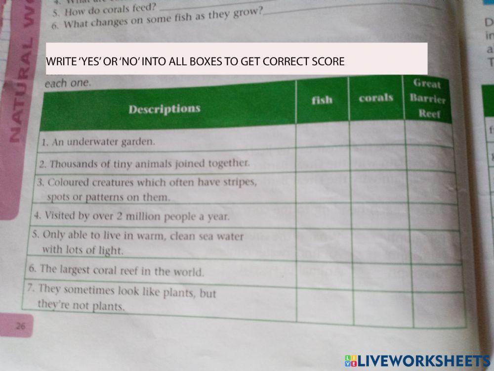 English Reading Unit 4 In focus worksheet | Live Worksheets