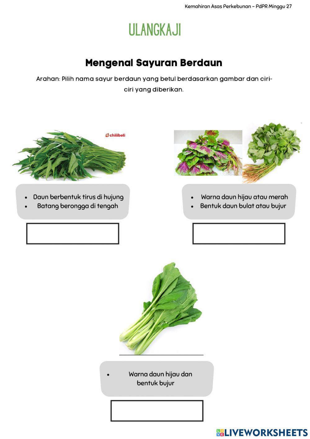 Mengenal Sayuran Berdaun worksheet | Live Worksheets