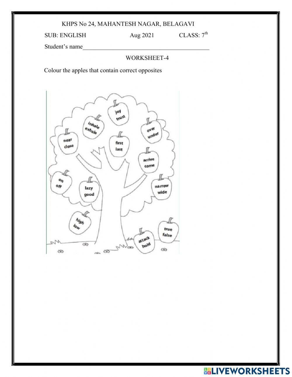 7 w-4 worksheet | Live Worksheets