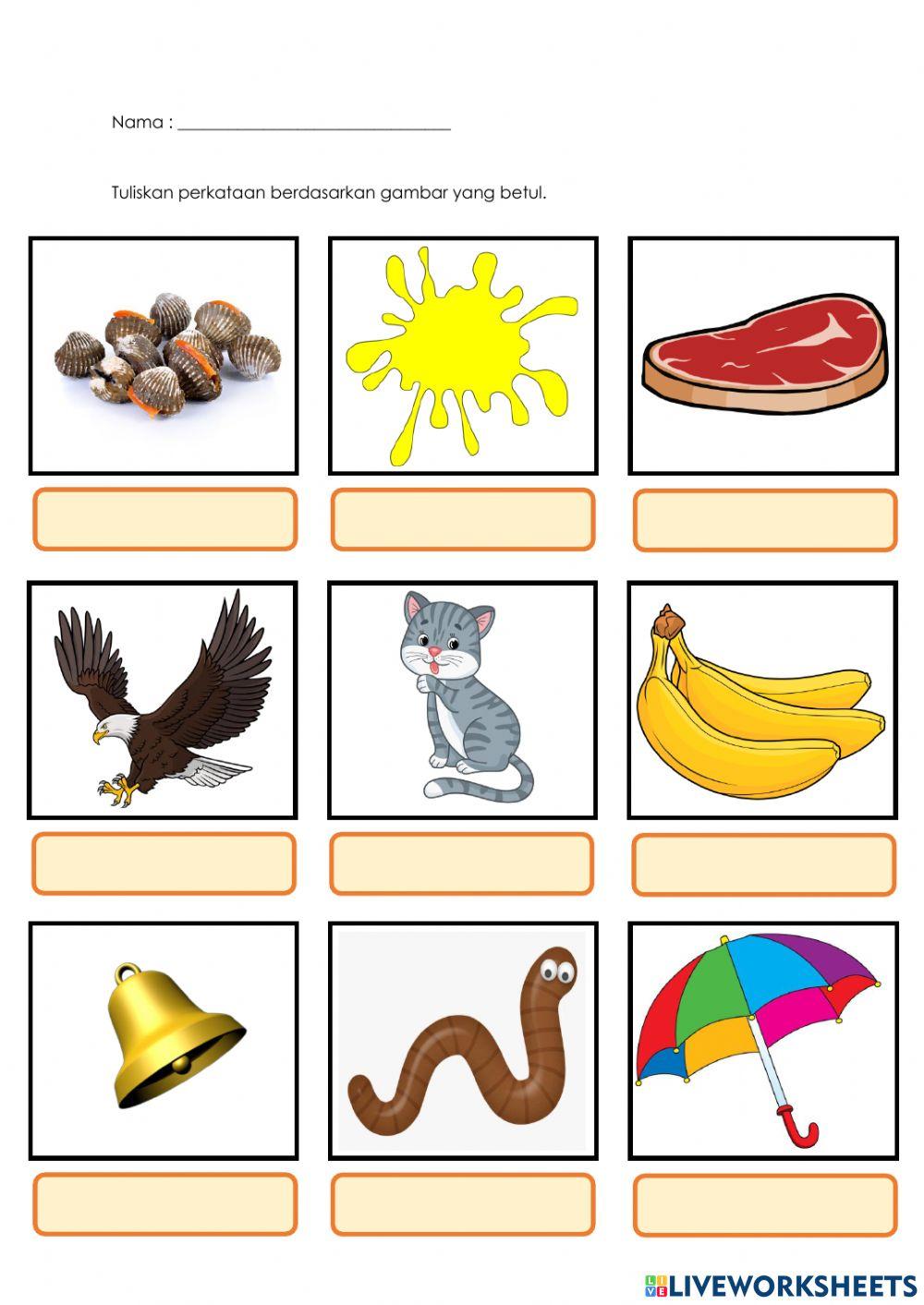 Akhiran -ng worksheet | Live Worksheets