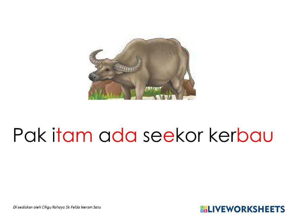 Bacaan interactive activity | Live Worksheets