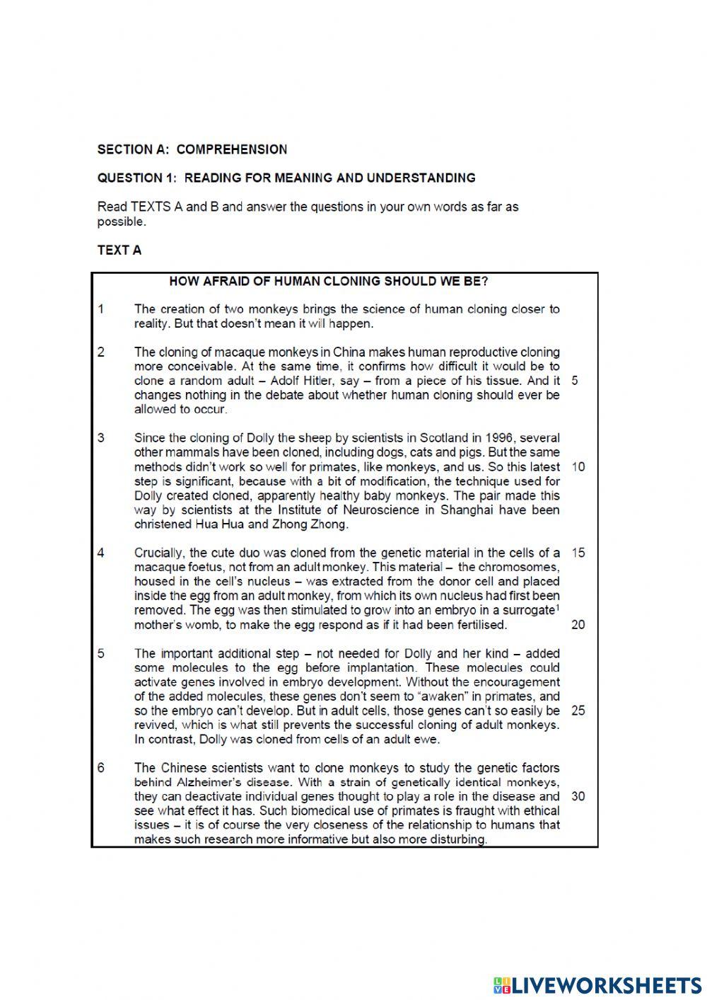 English paper 1… | Free Interactive Worksheets | 1275103