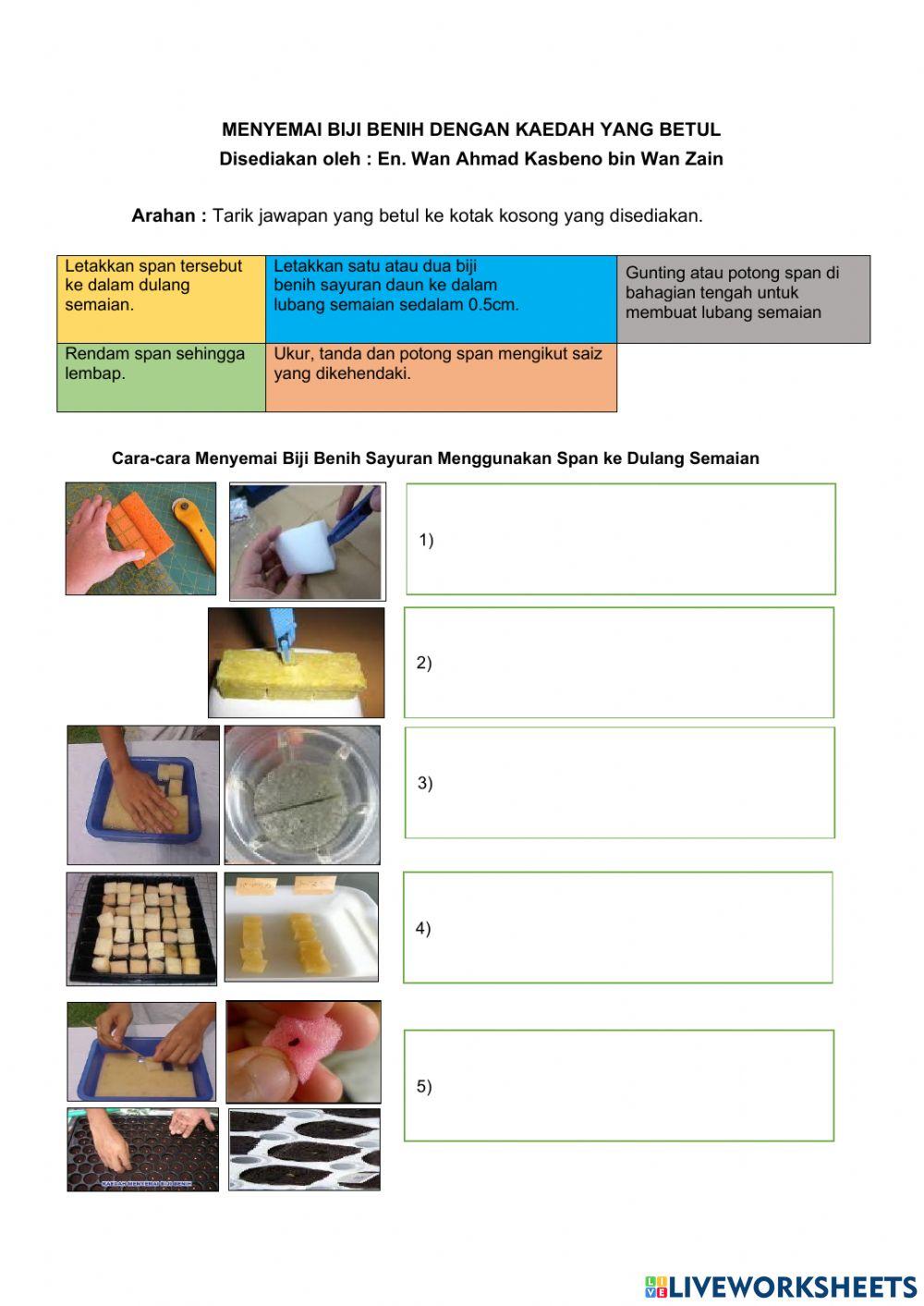 Rbt tahun 6 worksheet for 6 | Live Worksheets