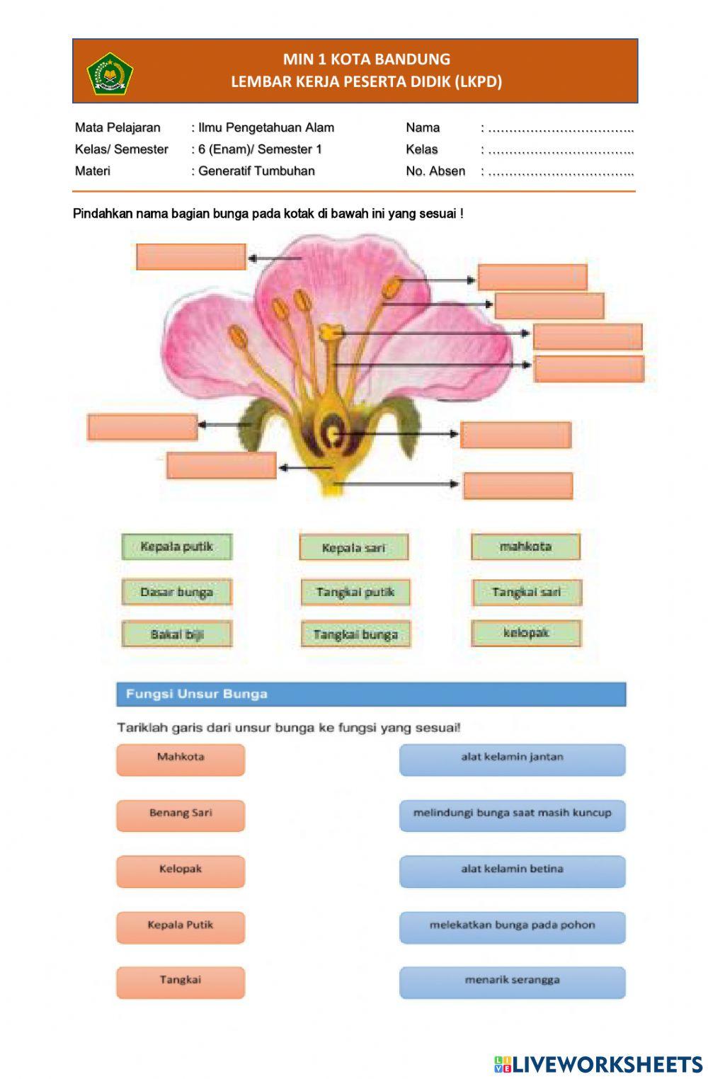 Generatif Tumbuhan interactive worksheet | Live Worksheets