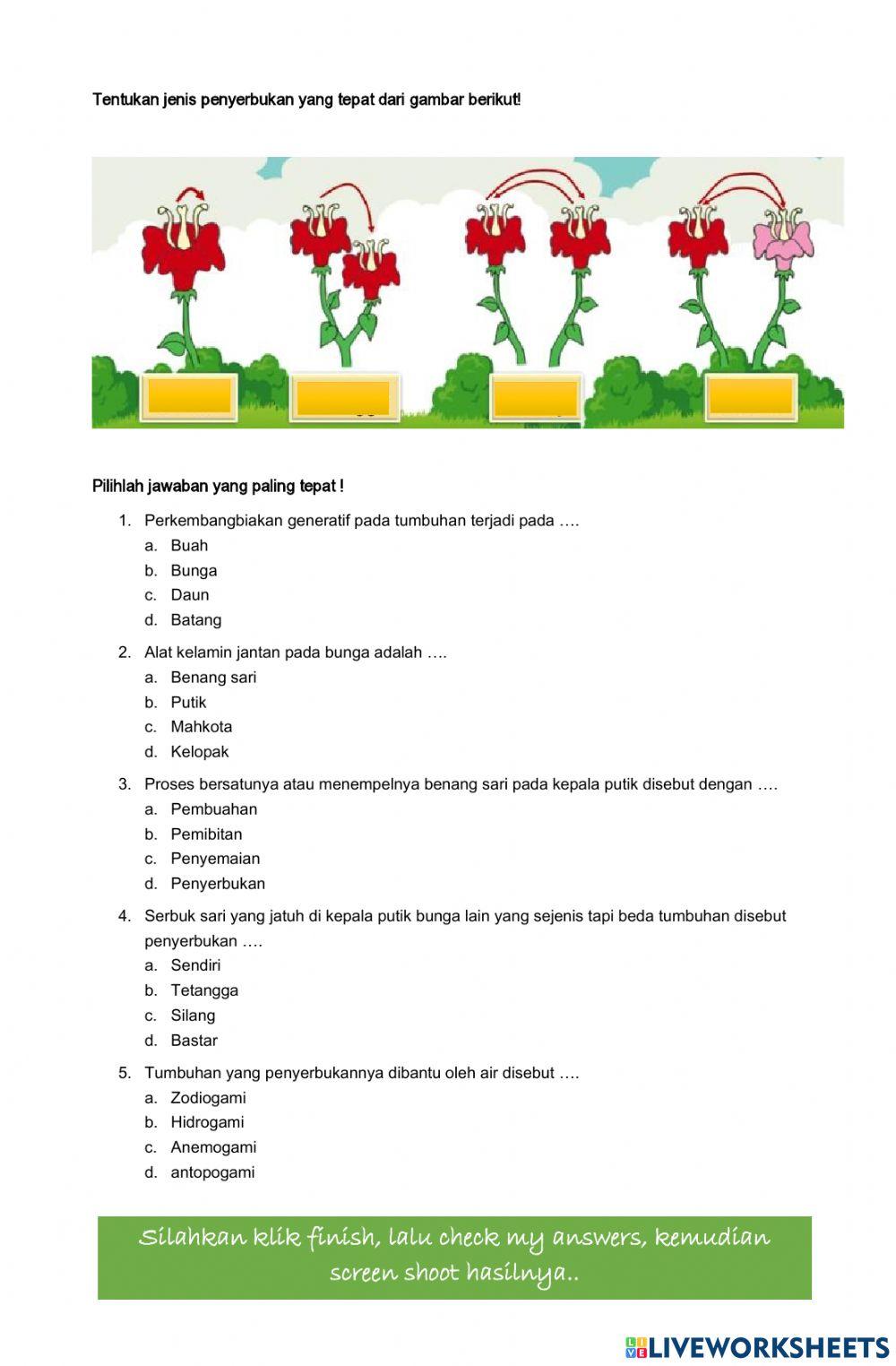 Generatif Tumbuhan interactive worksheet | Live Worksheets