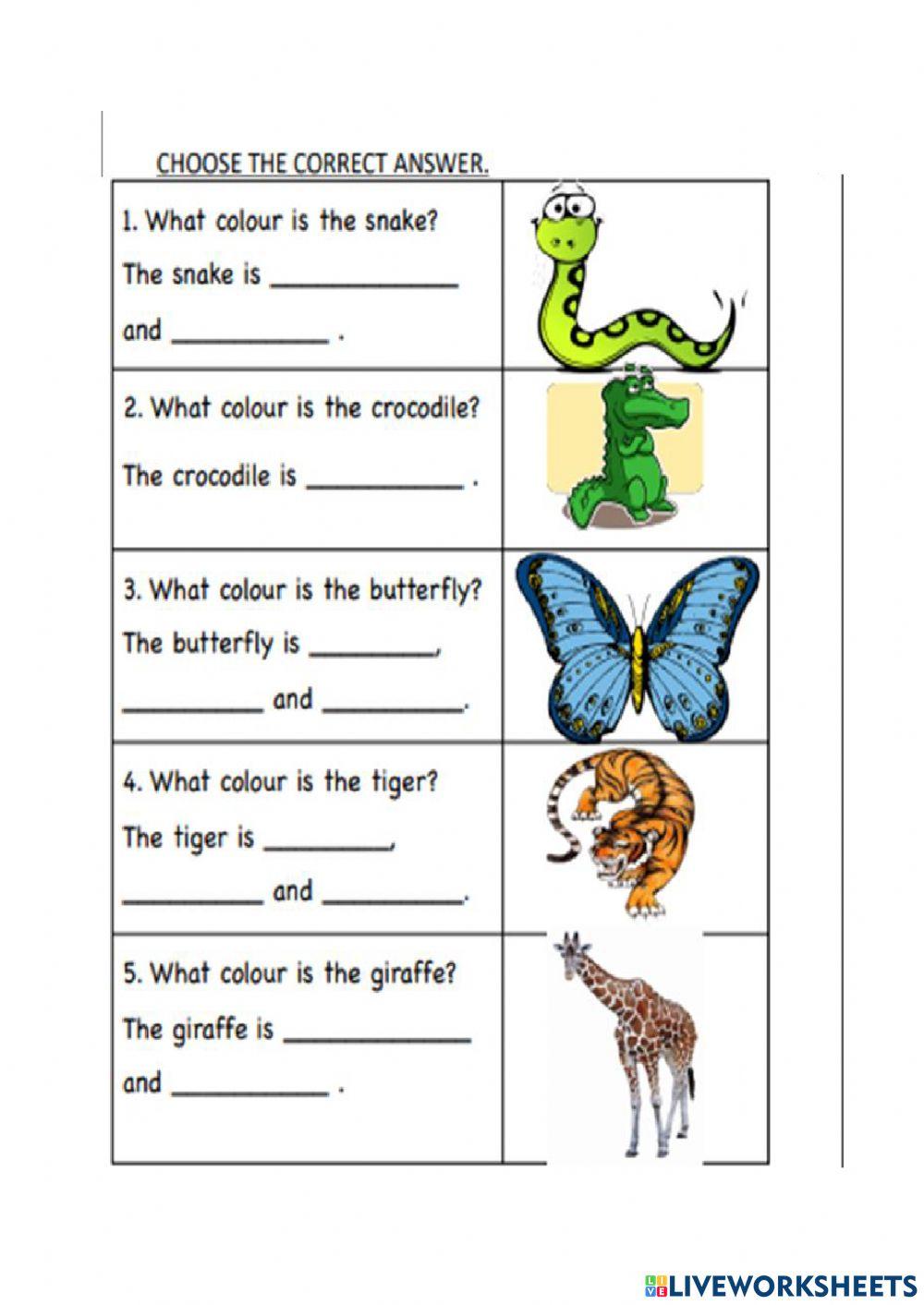 Unit 3 - Pet Show worksheet | Live Worksheets