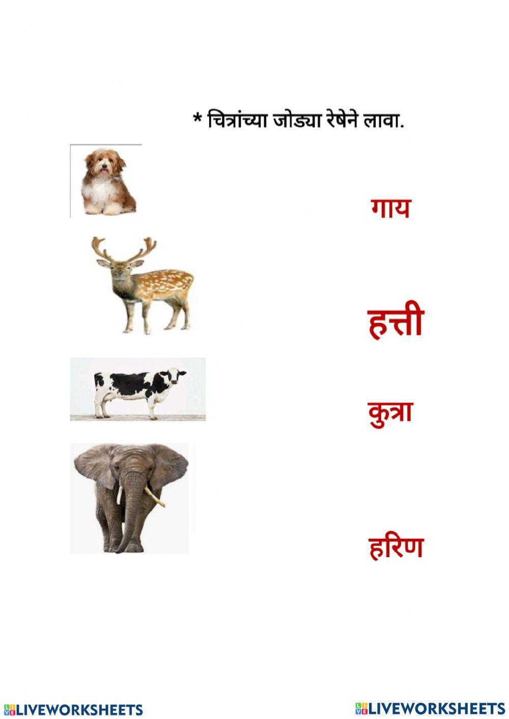 3rd std marathi - 3709524 | ansaribisma | Live