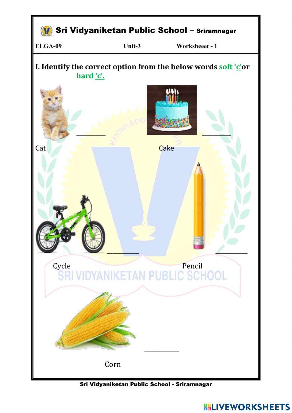 Pdf online activity: Live worksheet | Live Worksheets