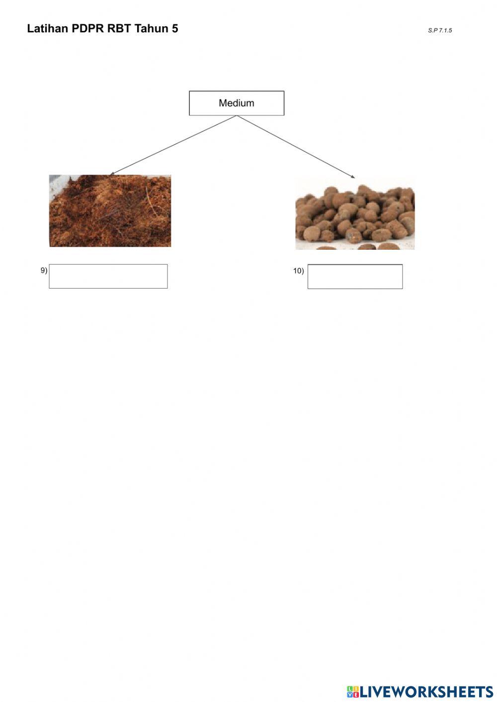 RBT T5 ms76 worksheet | Live Worksheets