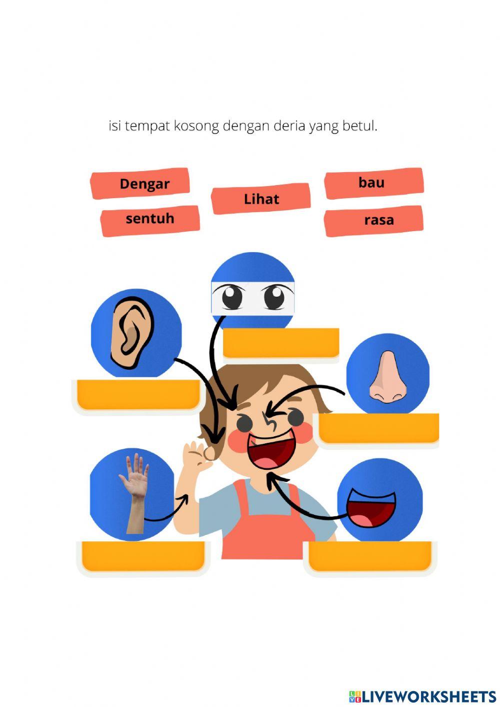 Memerhati menggunakan deria worksheet | Live Worksheets