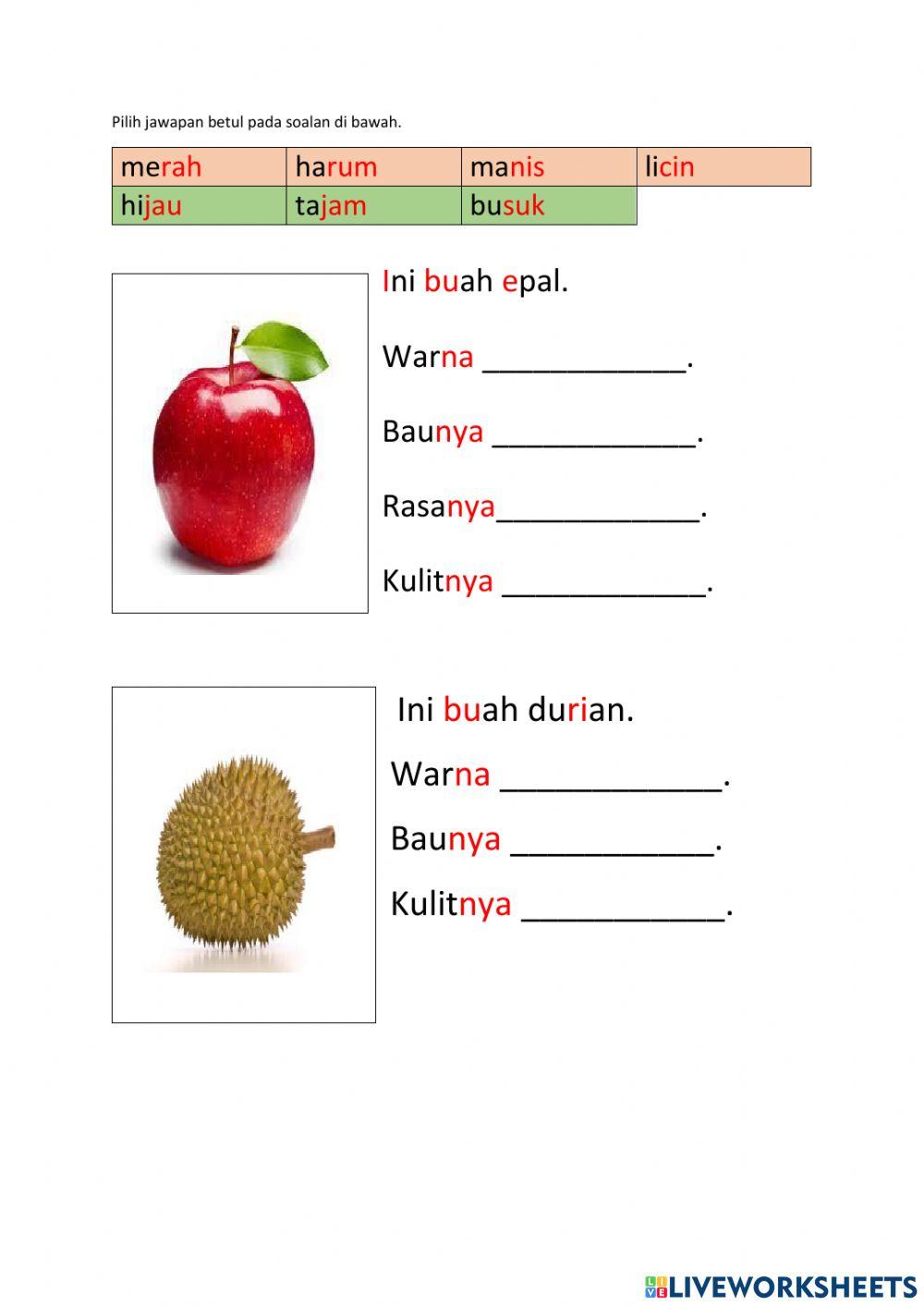 Memerhati menggunakan deria worksheet | Live Worksheets