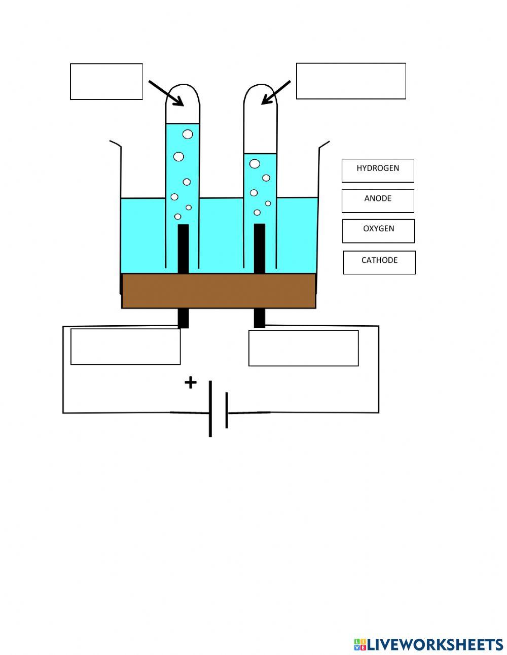 EXERCISES 6.3 : COMPOUNDS interactive worksheet | Live Worksheets