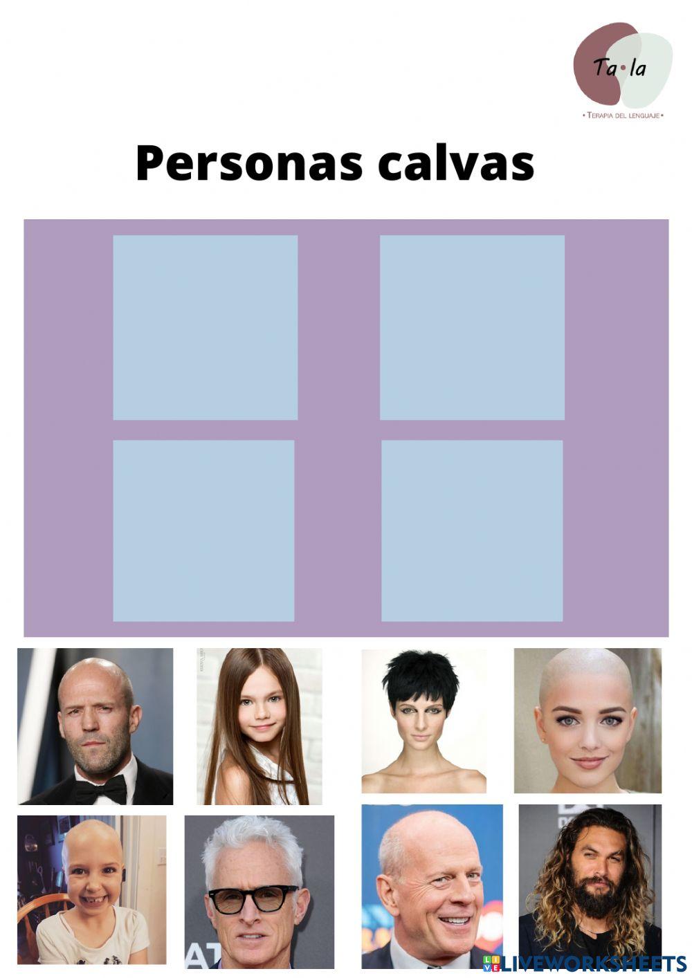 1281343 | Descripción de personas calvas | talaterapia
