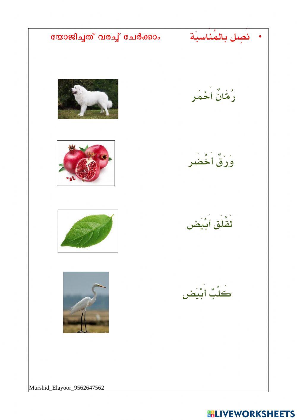 Unit Test 1-Std 1 worksheet | Live Worksheets