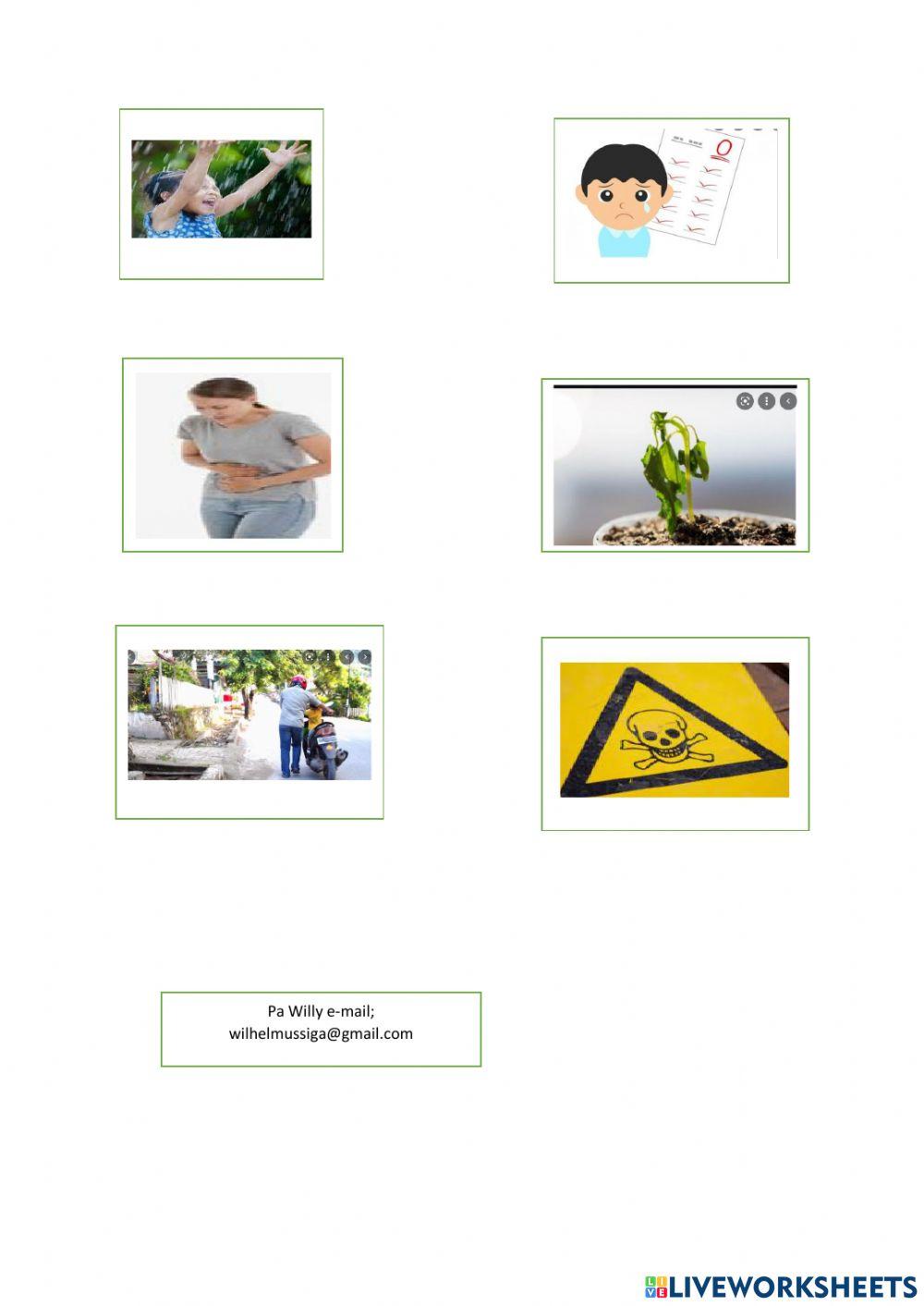 Must and must not interactive worksheet | Live Worksheets