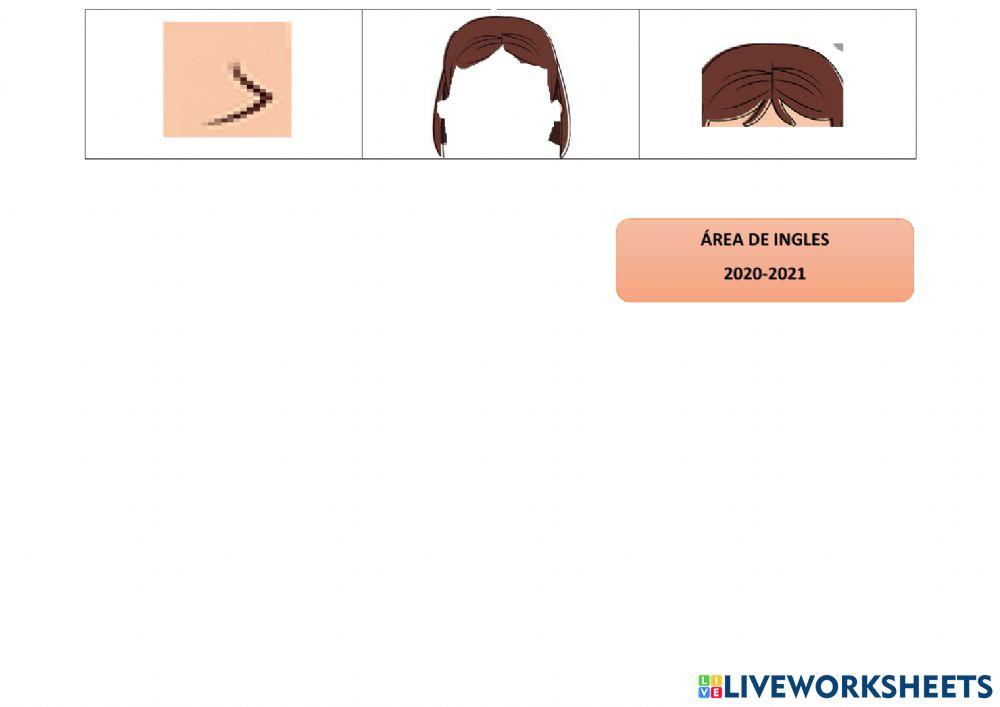 Partes de la cara online pdf worksheet | Live Worksheets