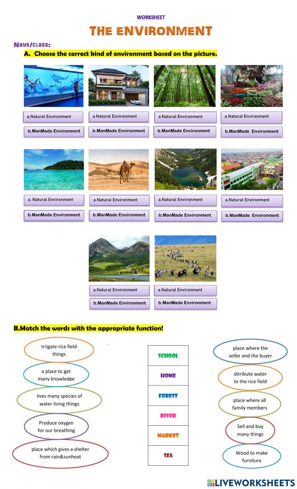 Branches Of Science Interactive Worksheet Live Worksheets, 45% OFF Branches Of Science Interactive Worksheet Live Worksheets, 45% OFF