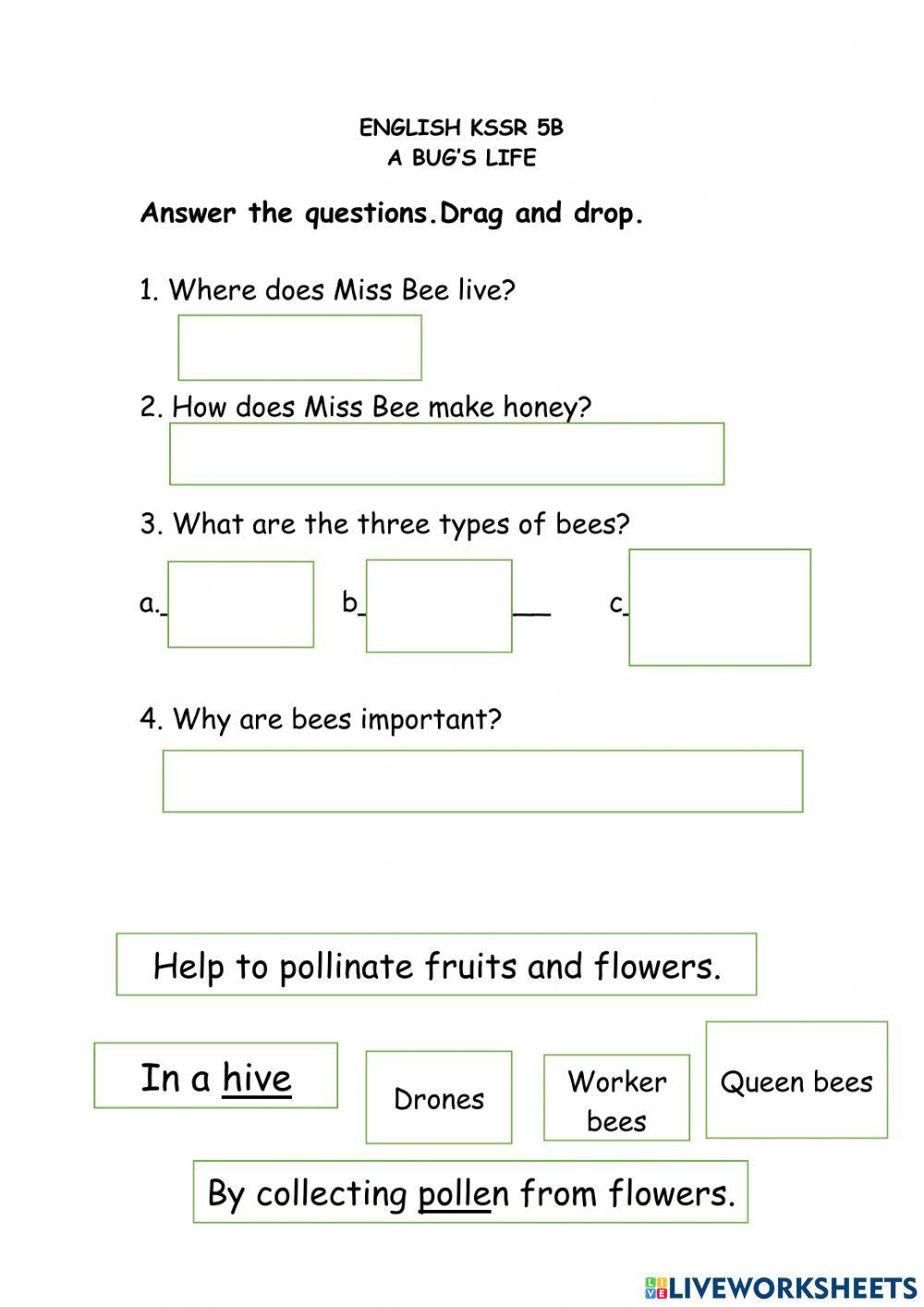 Miss bee interactive worksheet | Live Worksheets