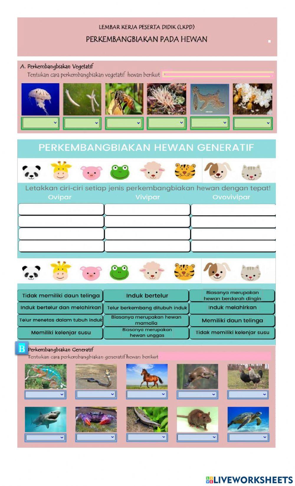 Perkembangbiakan hewan online worksheet for 4 | Live Worksheets