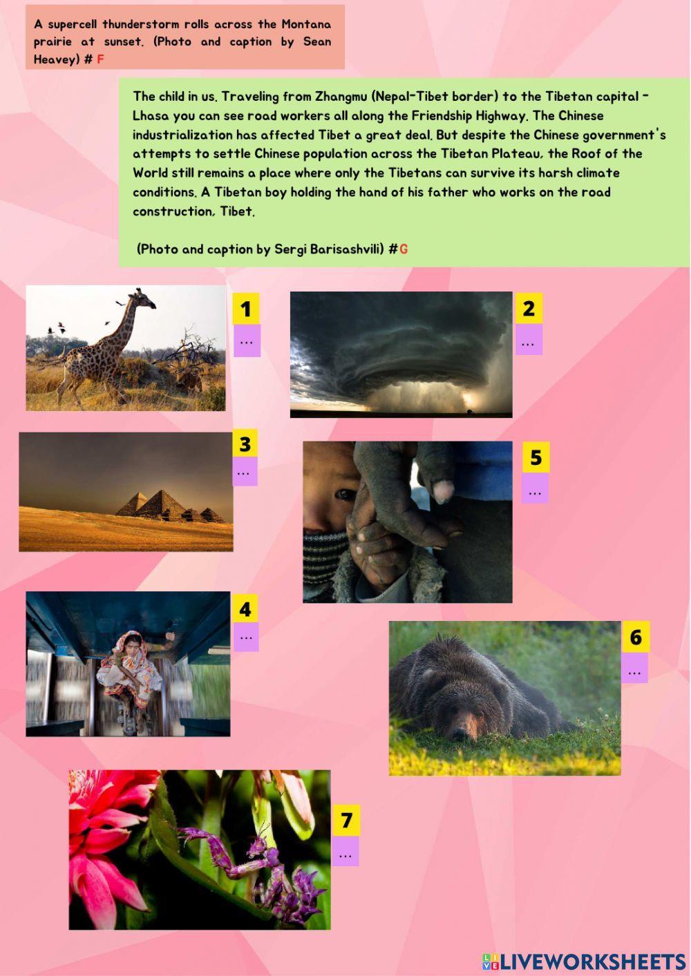 Captions | Free Interactive Worksheets | 1286081