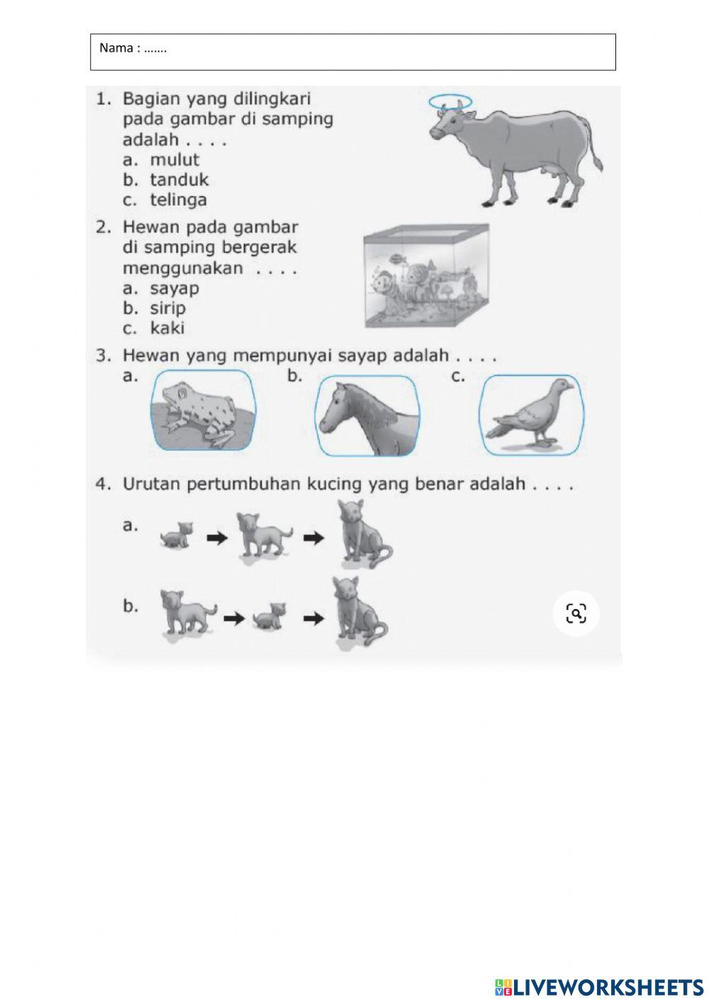 Hewan activity for 1 | Live Worksheets