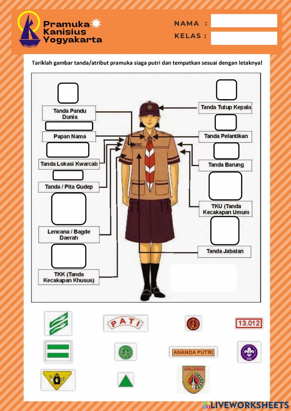 Pramuka siaga | Free Interactive Worksheets | 1286800