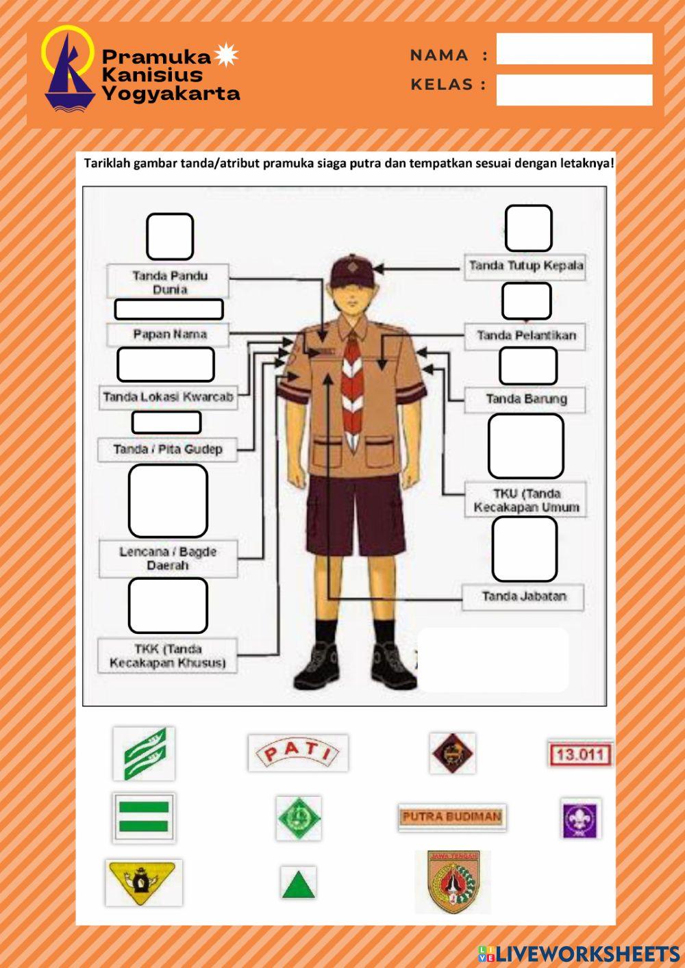 Pramuka siaga interactive worksheet | Live Worksheets