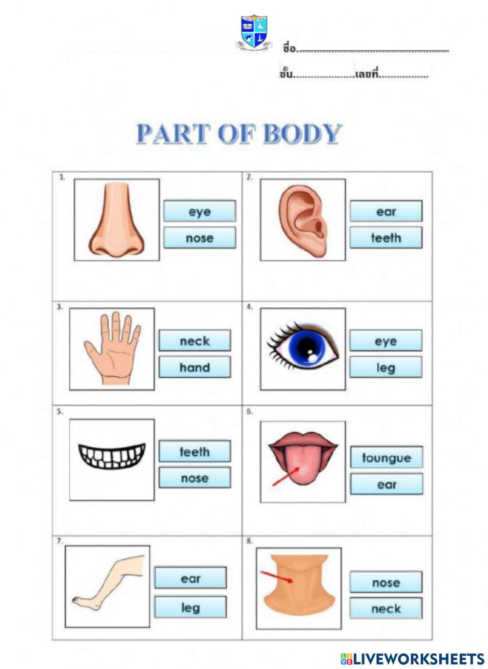 Body2 | Nonglak | Live Worksheets