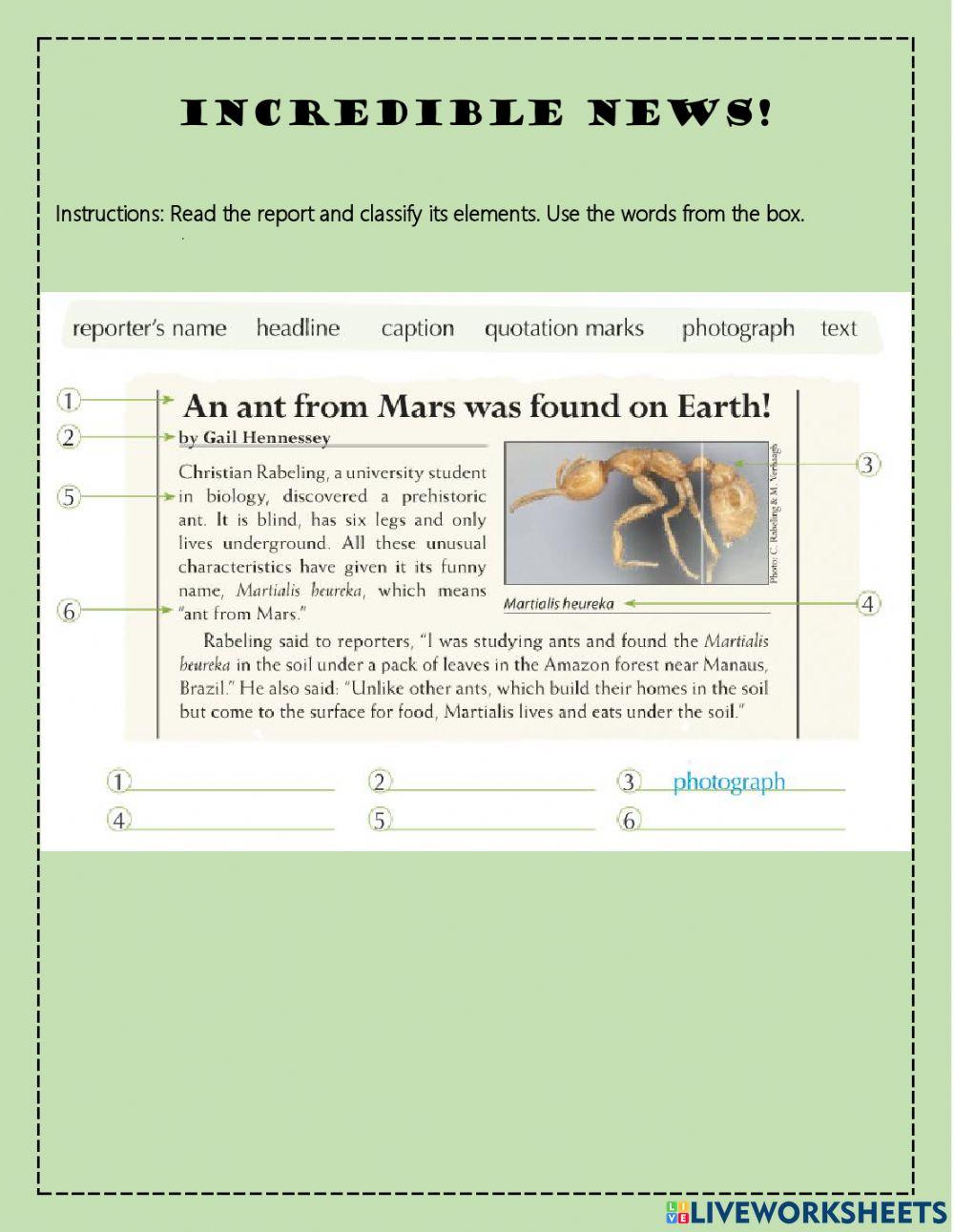 Incredible news! interactive worksheet | Live Worksheets