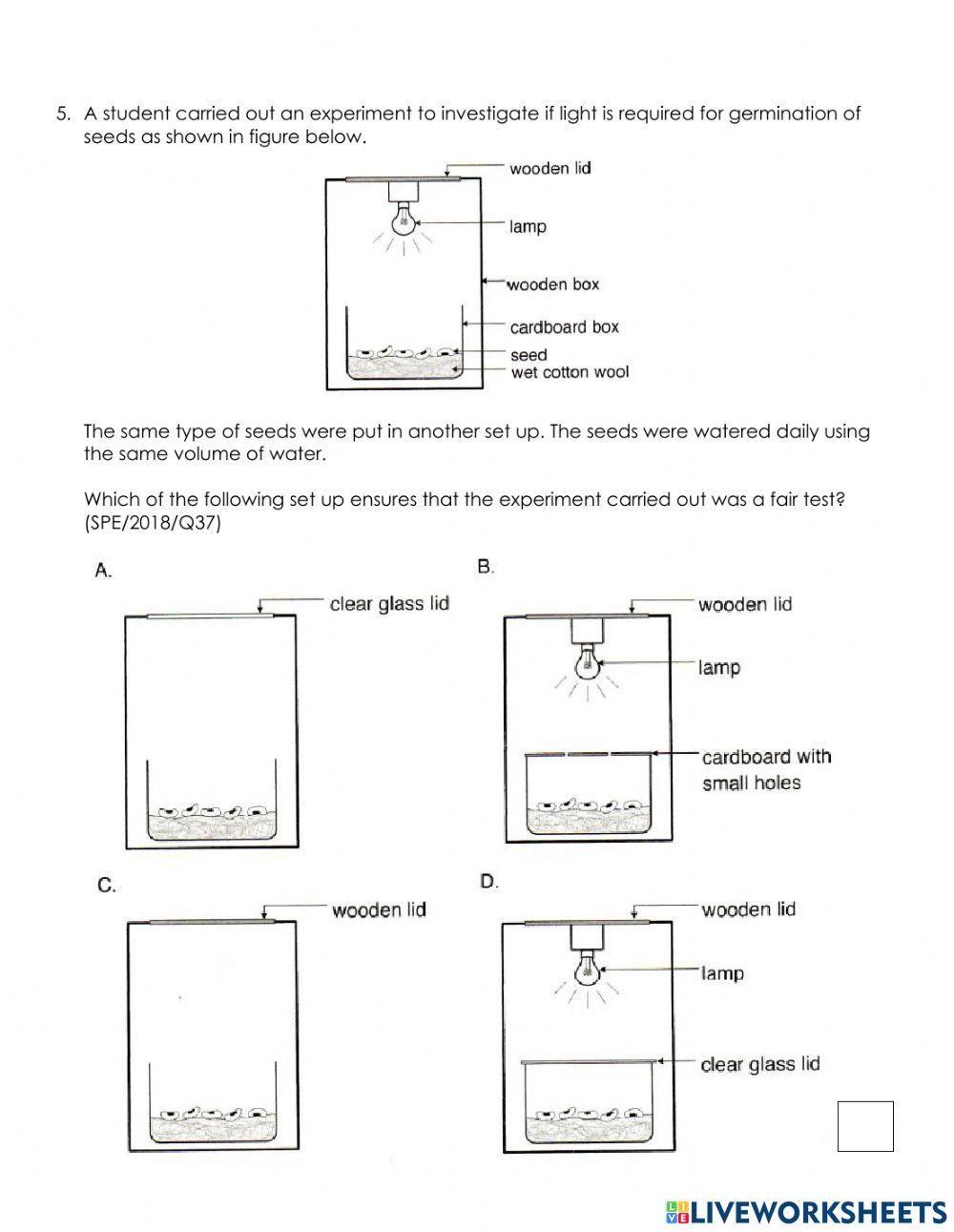 Germination | Free Interactive Worksheets | 1288693